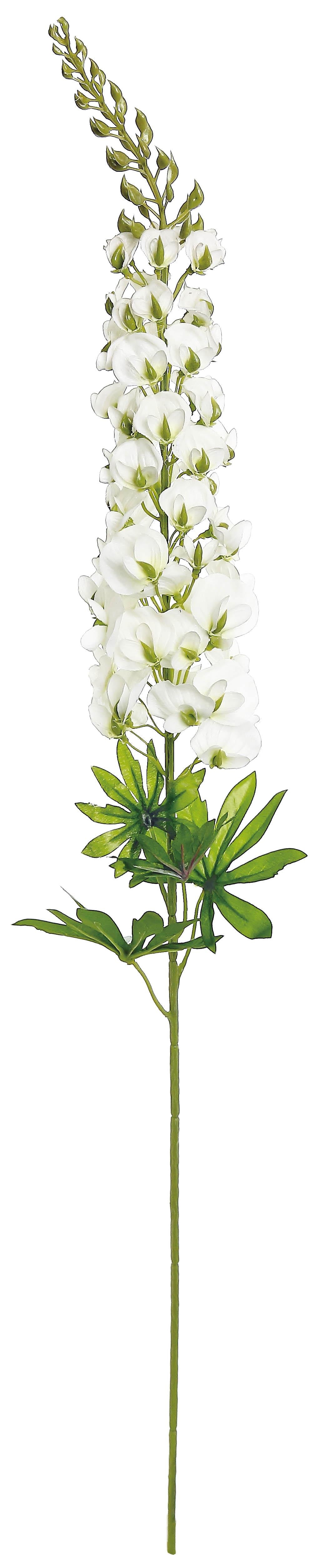 35" Lupine Spike - Cream