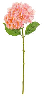 27" Hydrangea Bloom - Coral