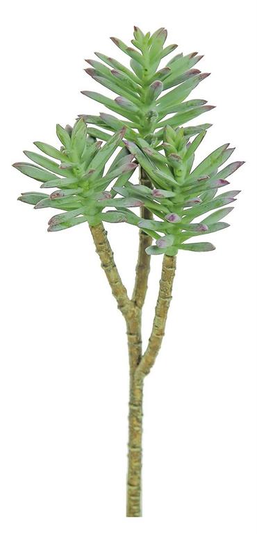 11" Spiny Succulent Spray - Pu
